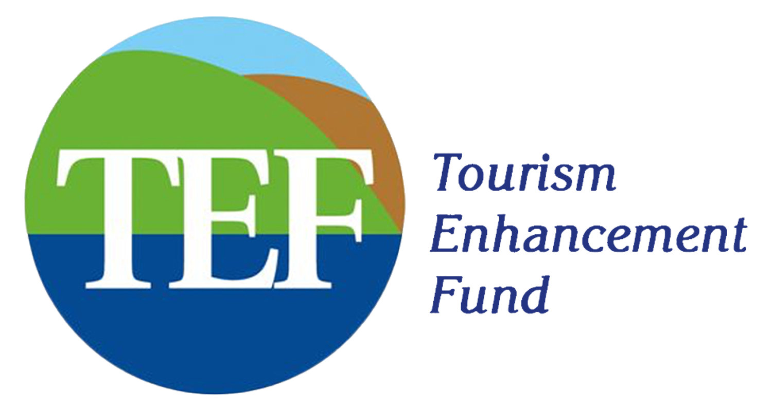 TEF Summer Internship Programme