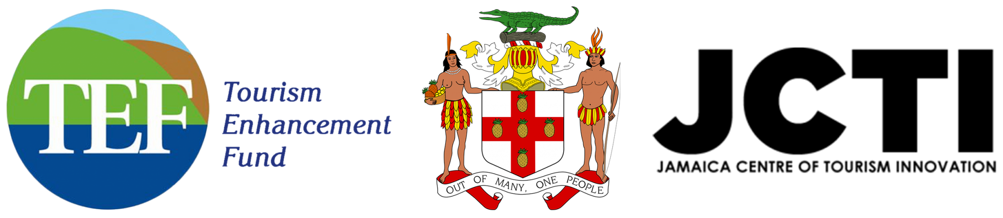 TEF Summer Internship Programme