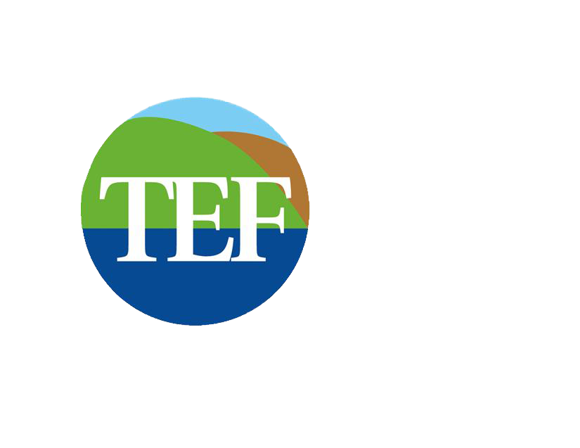 Tourism Enhancement Fund